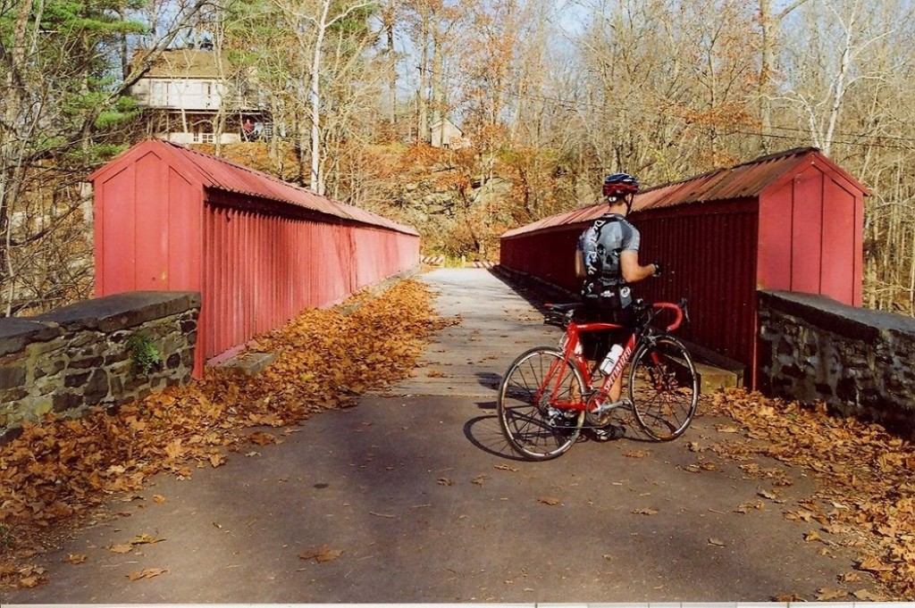 History | FlecheBuffoon.com